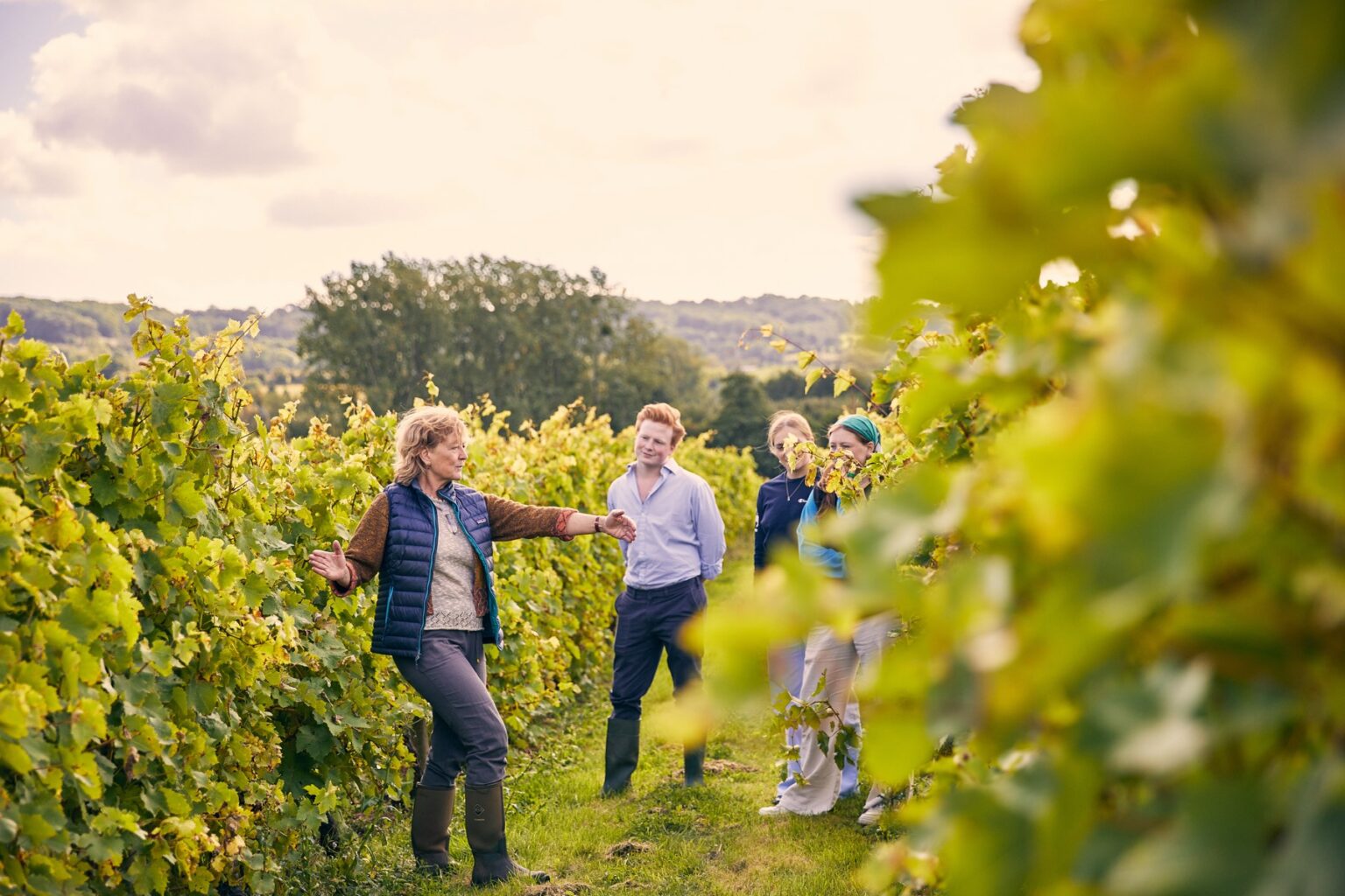 Visit a Vineyard - WineGB