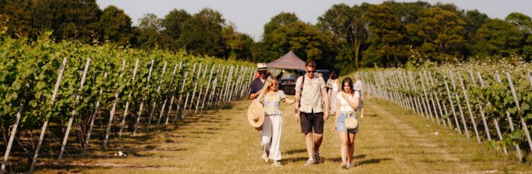 Visit a Vineyard - WineGB