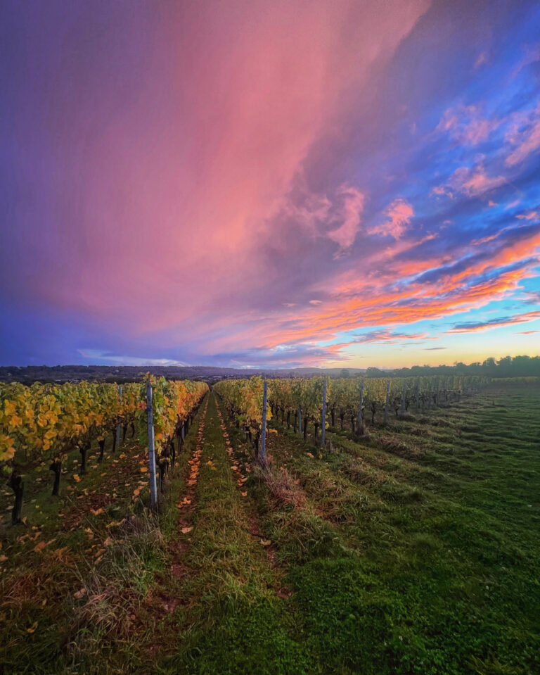 Data - WineGB