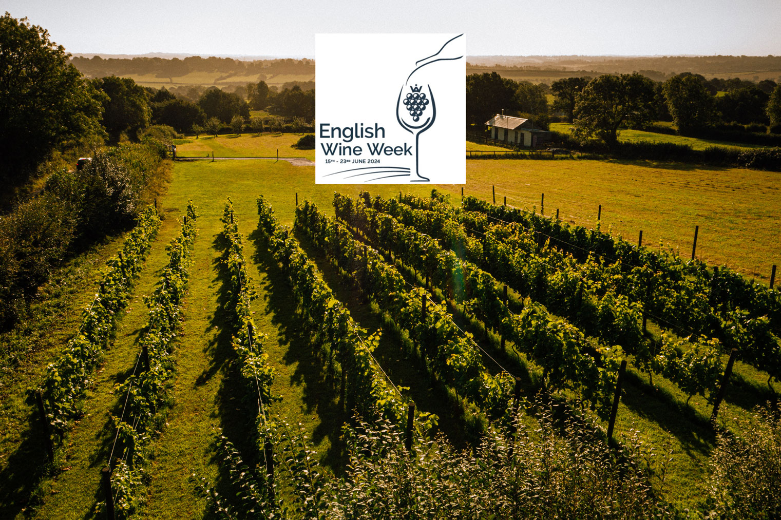 A week of events for English Wine Week at Amber valley Vineyards - WineGB